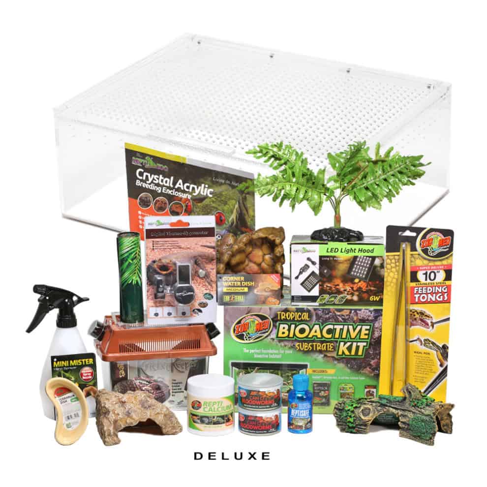 COMPLETE Salamader/Newt Setup - Underground Reptiles