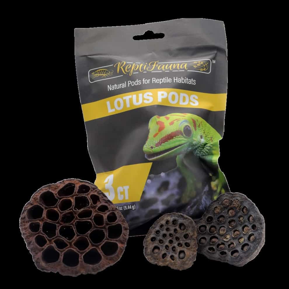 ReptiFauna™ Lotus Pods 3 Ct - Underground Reptiles