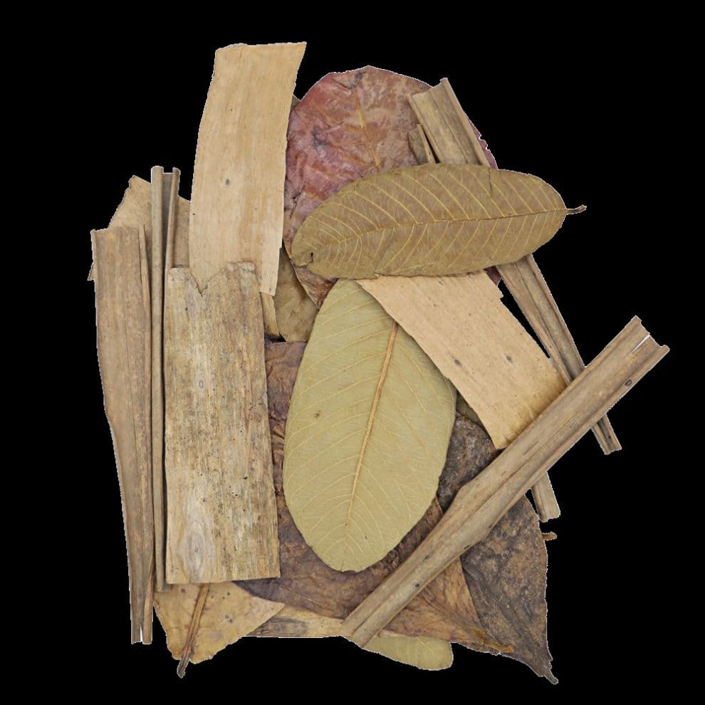 ReptiFauna Jungle Leaf Mix 20 Ct - Underground Reptiles