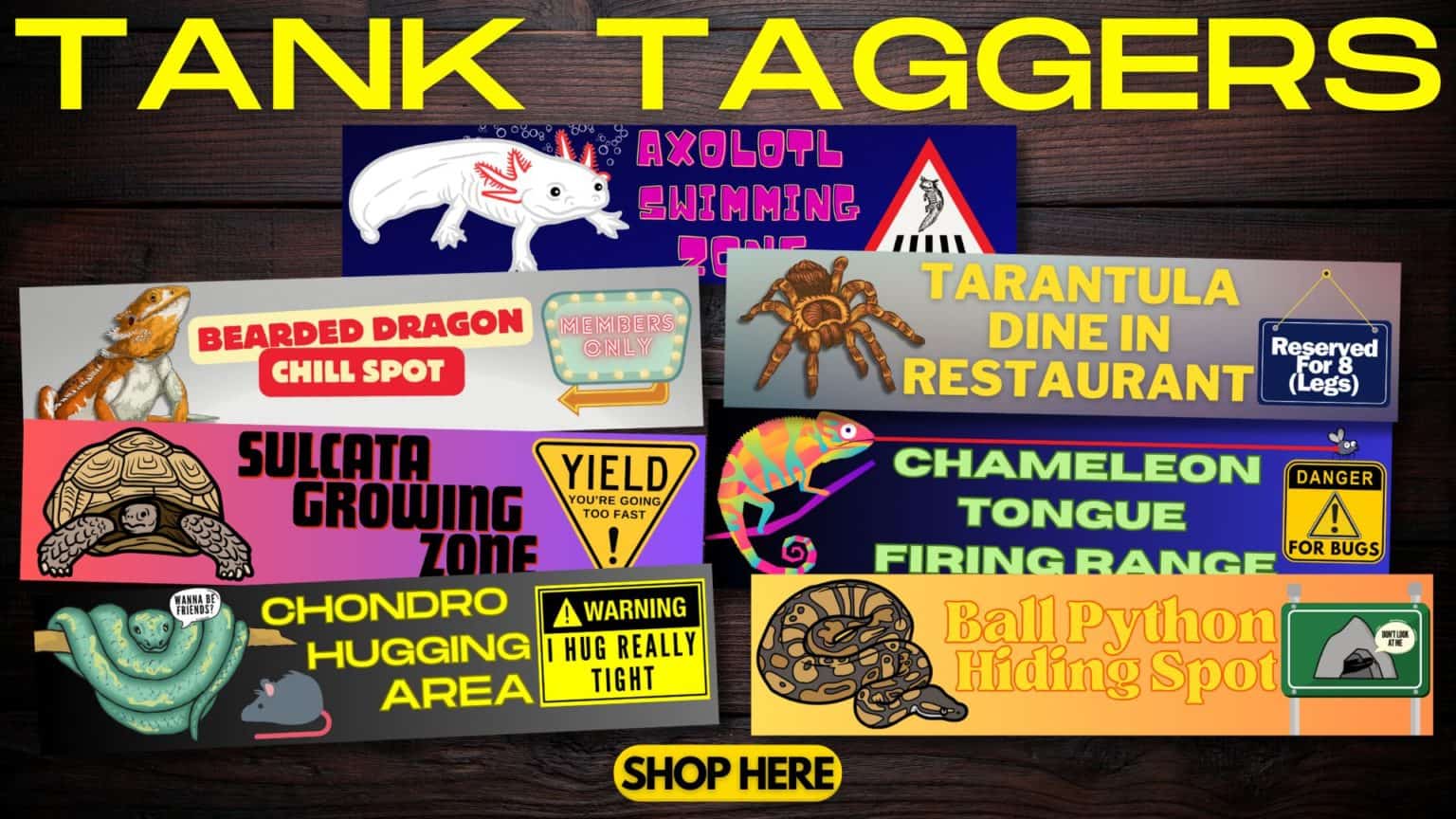 Underground Reptiles - Exotic Reptiles, Amphibians, Lizards and Mammals