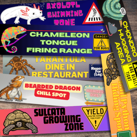 Tank Taggers - Underground Reptiles