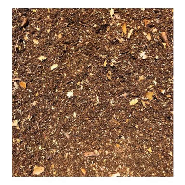 Organic Substrates Archives - Underground Reptiles