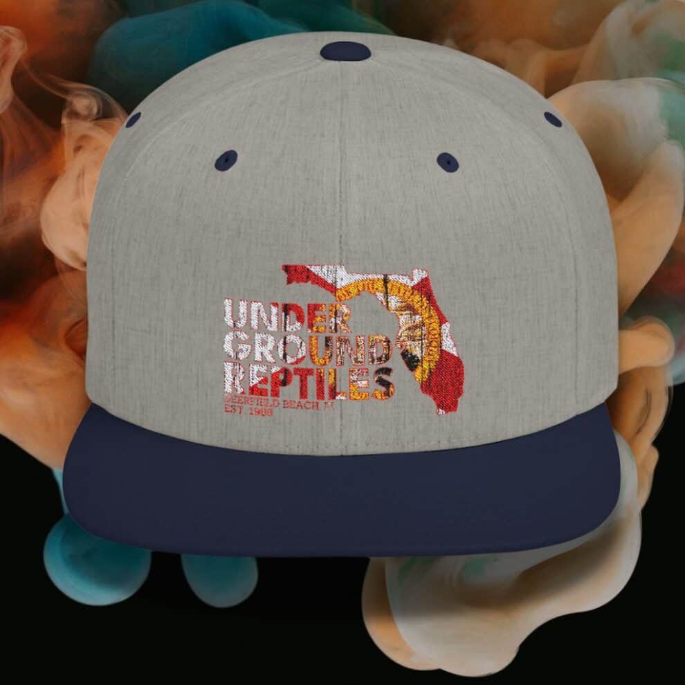 New Reptiles & Amphibians - Underground Reptiles