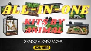 Underground Reptiles - Exotic Reptiles, Amphibians, Lizards and Mammals