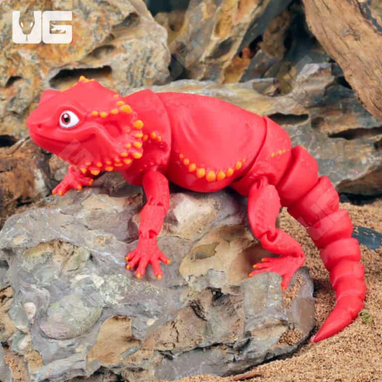 3D Creature Critters Archives - Underground Reptiles