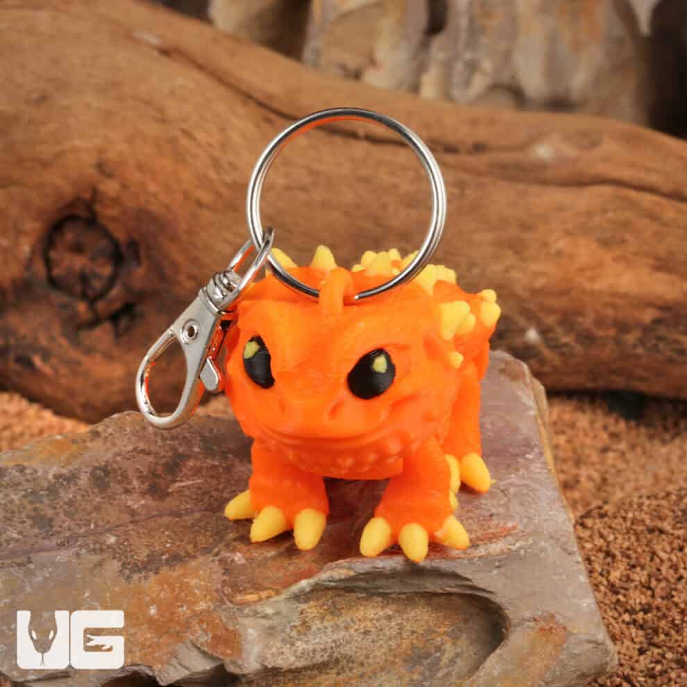 Merch - Shirts, Hats & More Archives - Underground Reptiles