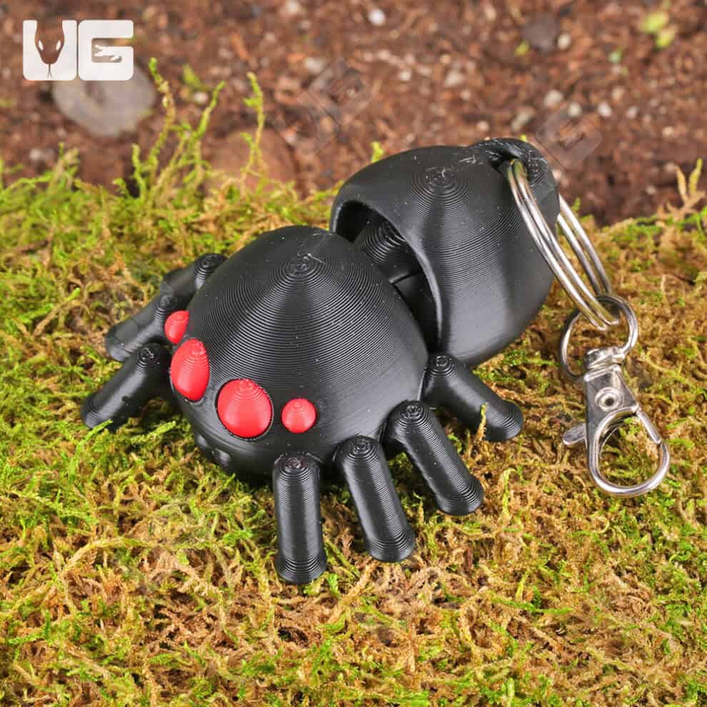 Merch - Shirts, Hats & More Archives - Underground Reptiles