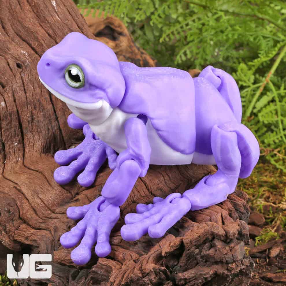 3D Printed Reptiles & Inverts – A New Dimension of Nature’s Wonders!