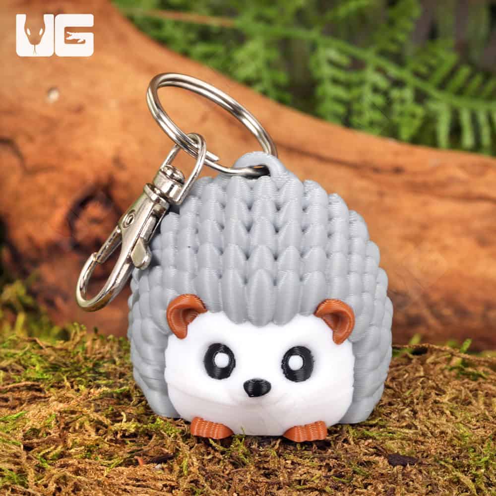 3D Printed Reptiles & Inverts – A New Dimension of Nature’s Wonders!