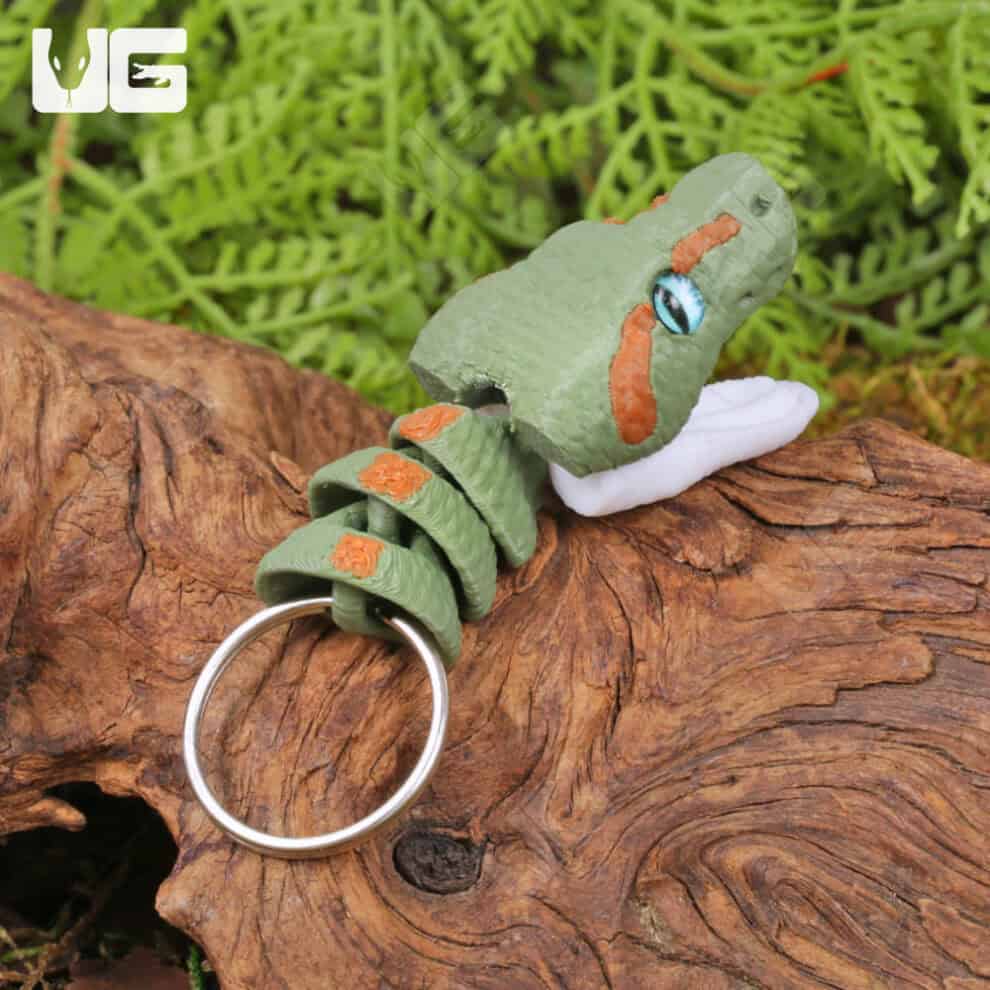 3D Creature Critters Archives - Underground Reptiles