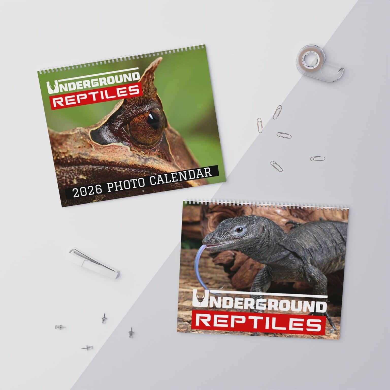 2026 Animal Photo Wall Calendar - Underground Reptiles