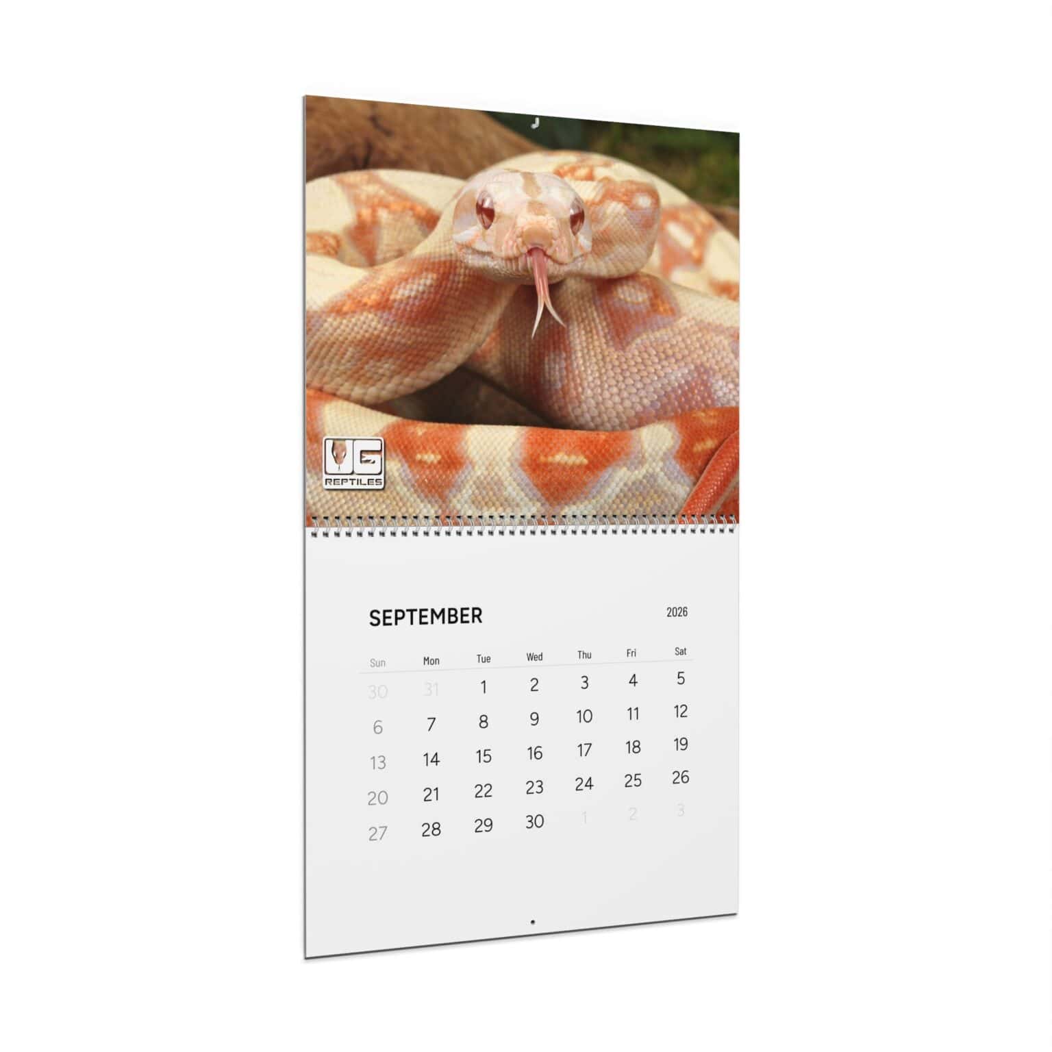 2026 Animal Photo Wall Calendar - Underground Reptiles