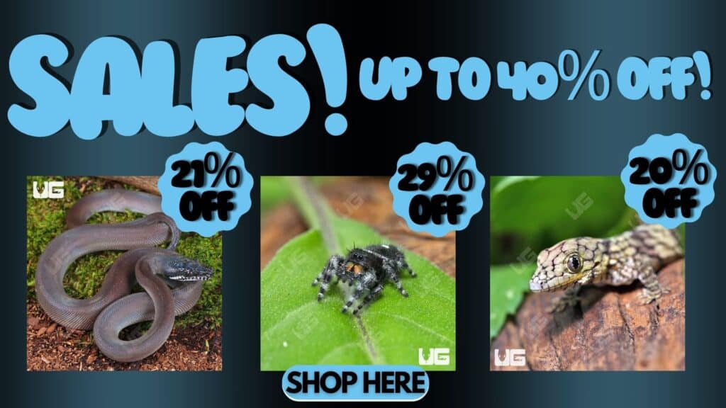 Underground Reptiles - Exotic Reptiles, Amphibians, Lizards and Mammals